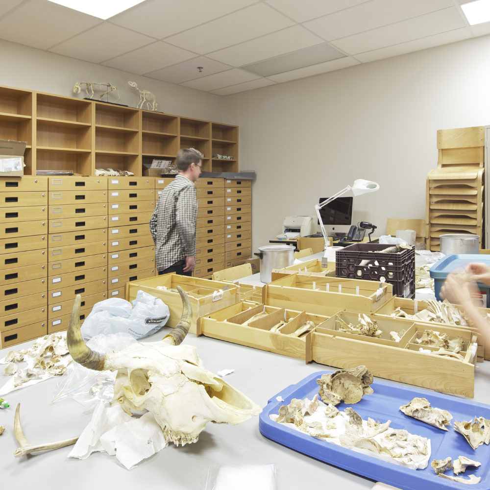 Trent University – DNA C Module – M.J. Dixon Construction Limited